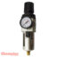 AIR REGULATOR - 1/4 - AUTO WATER DISCHARGE — Champion Parts
