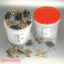 Metric Case of Bolts (600 Pieces) - Champion Fasteners