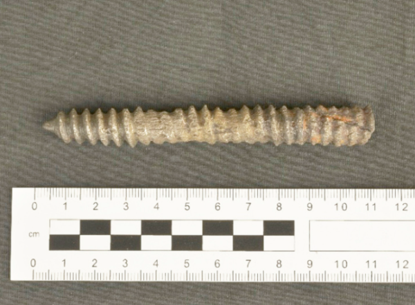 - Champion Parts - The Great Role of Bolts