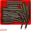 Compression Spring Assortment - Champion Fasteners