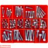 Metric Socket Head Cap Screws Assortment - Champion Fasteners